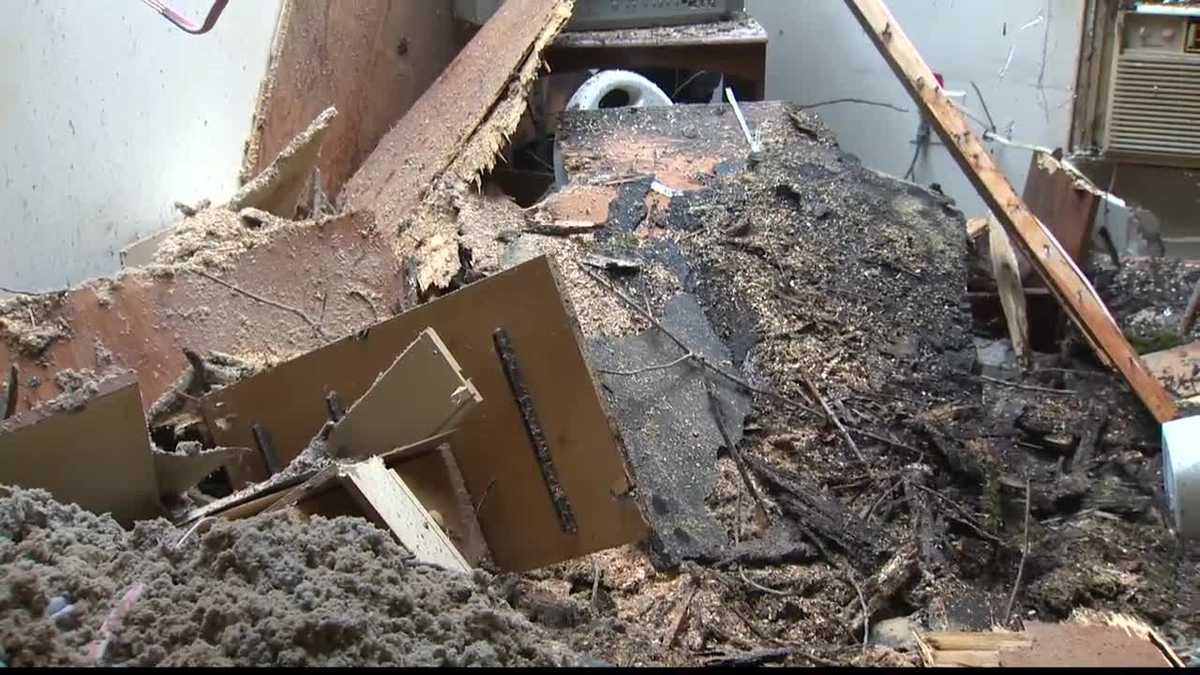 Photos: Tree falls on building in Etna