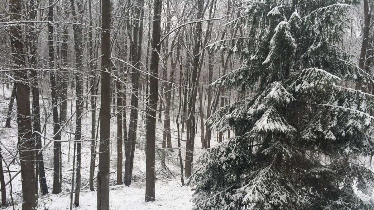 Photos: Region sees spring snow showers