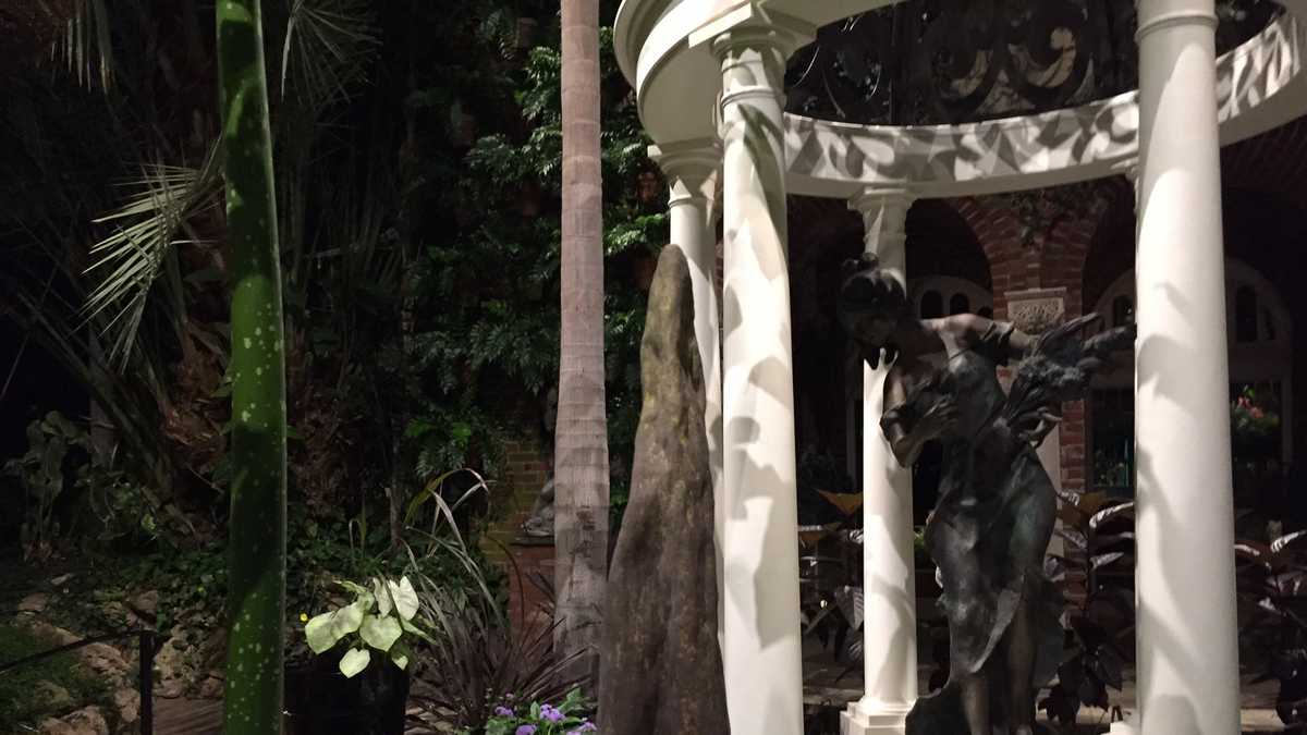 Photos: Pittsburgh's corpse flower set to bloom, unleash stench