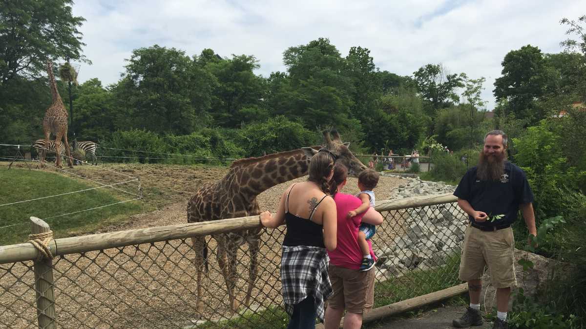 Photos: Meet the giraffes at the Pittsburgh Zoo