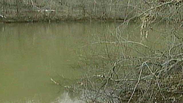 'Rock snot' spotted in river