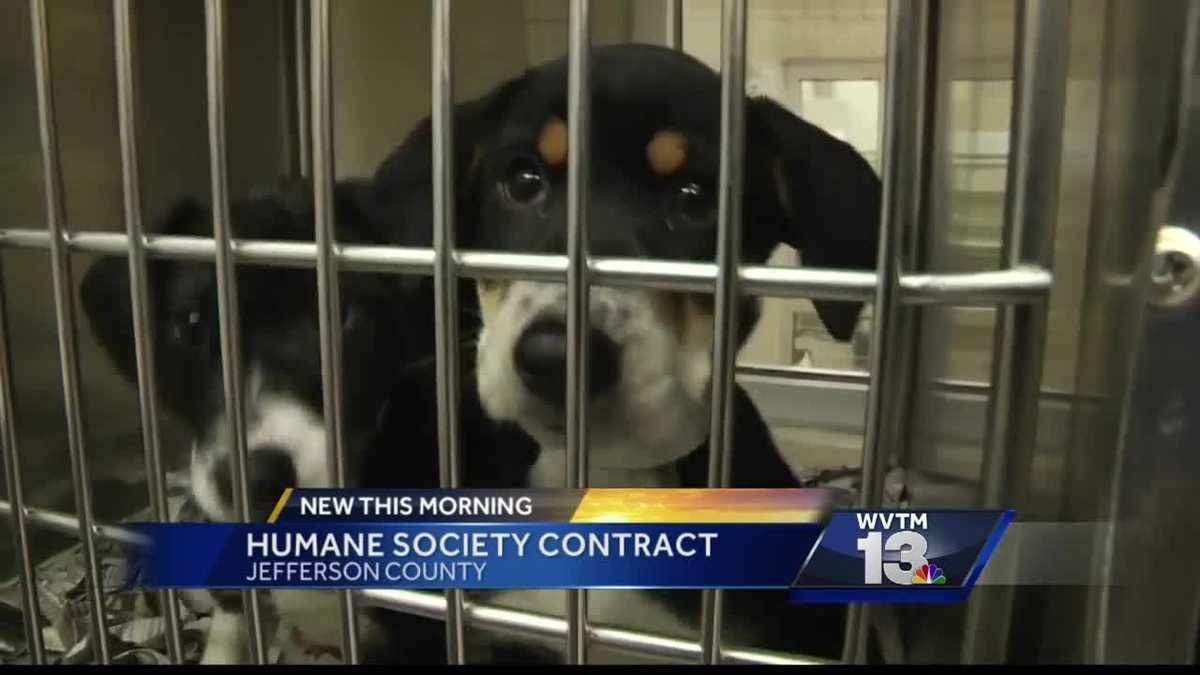 JeffCo will decide if GBHS will keep animal control services