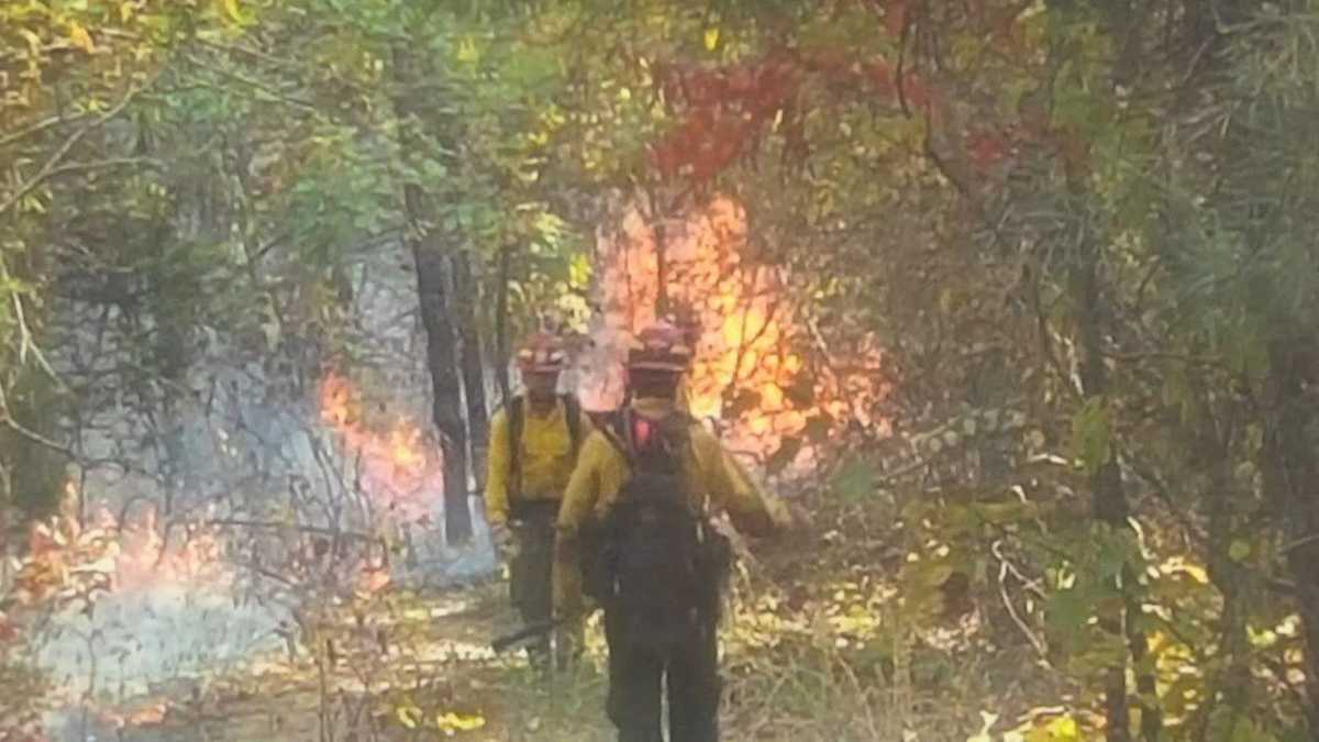 Fire crews continue battling Bankhead National Forest wildfire