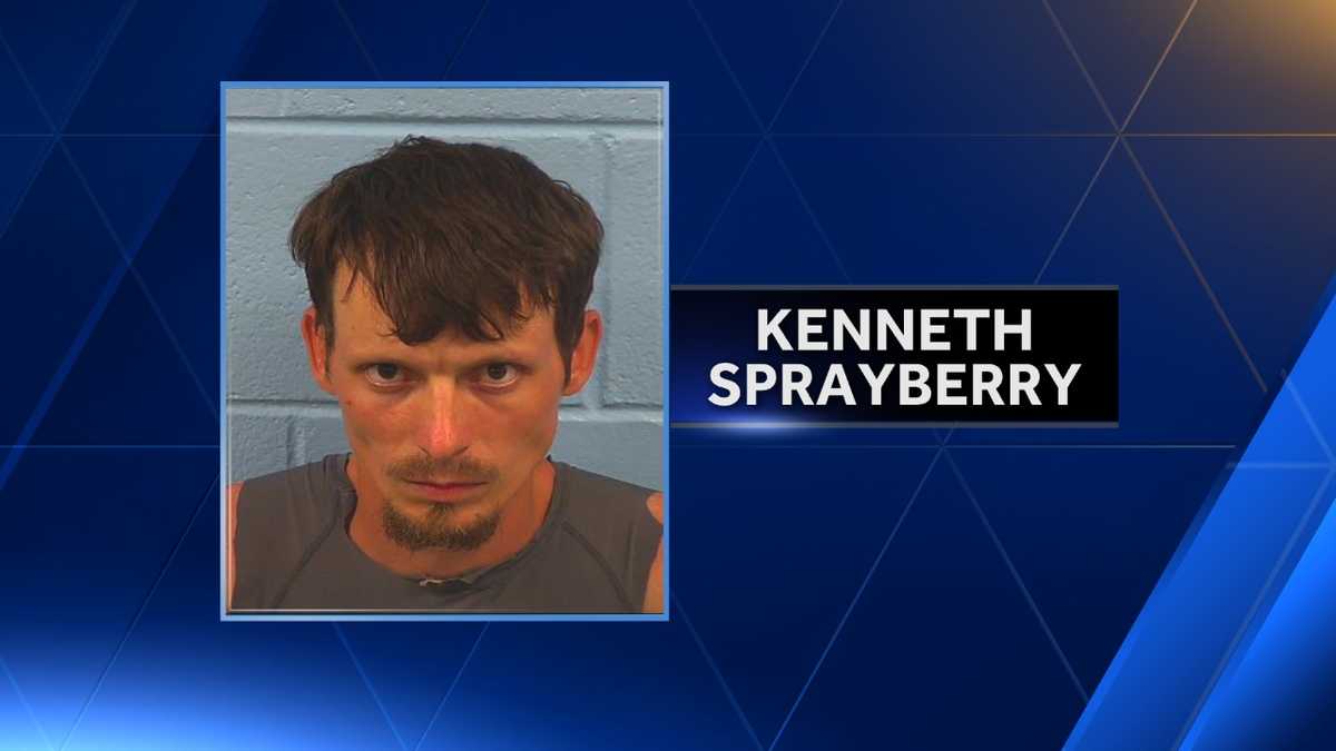 Sheriff: Fridge-pilfering burglar killed house cat