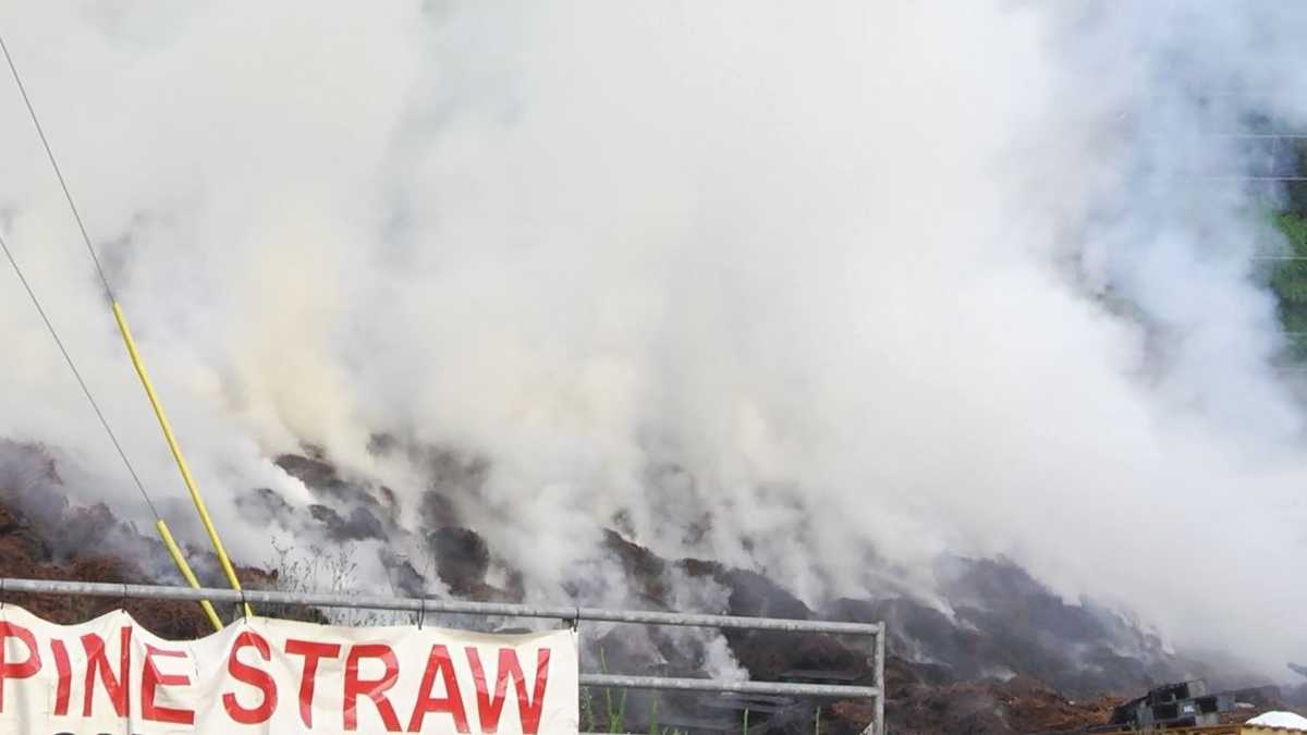 Hwy 11 back open following pine straw fire