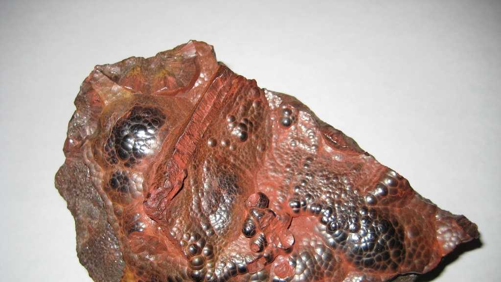 Official emblems, symbols and honors of Alabama