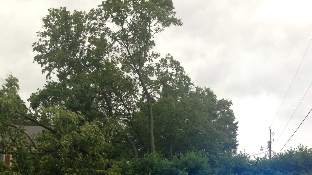 WXII staff weather photos