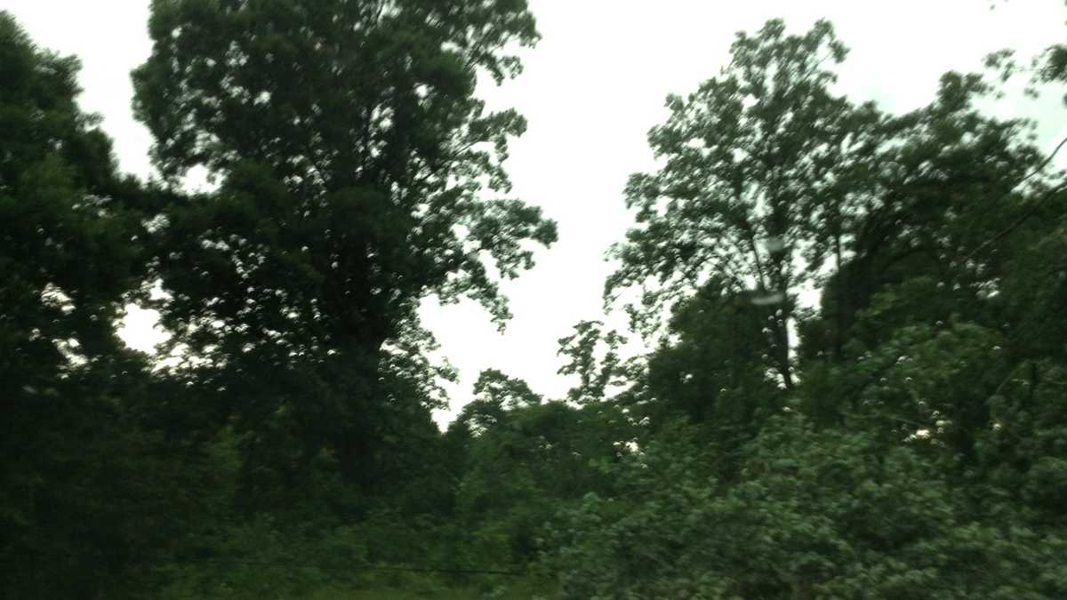 WXII staff weather photos