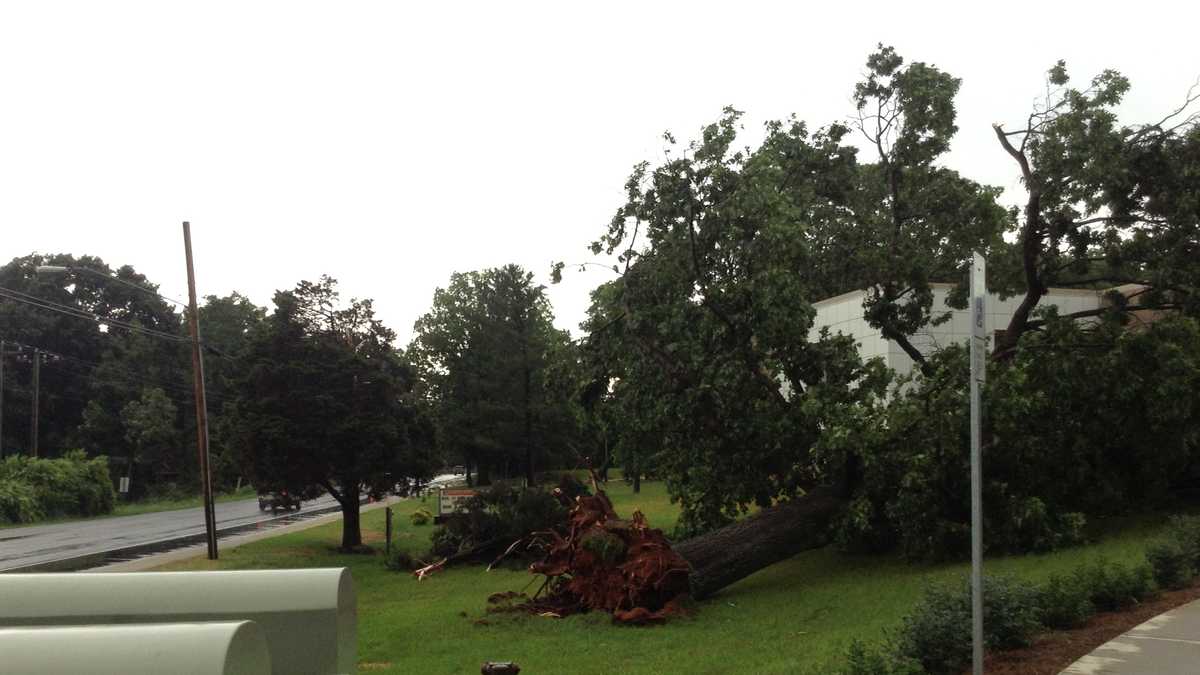 WXII staff weather photos