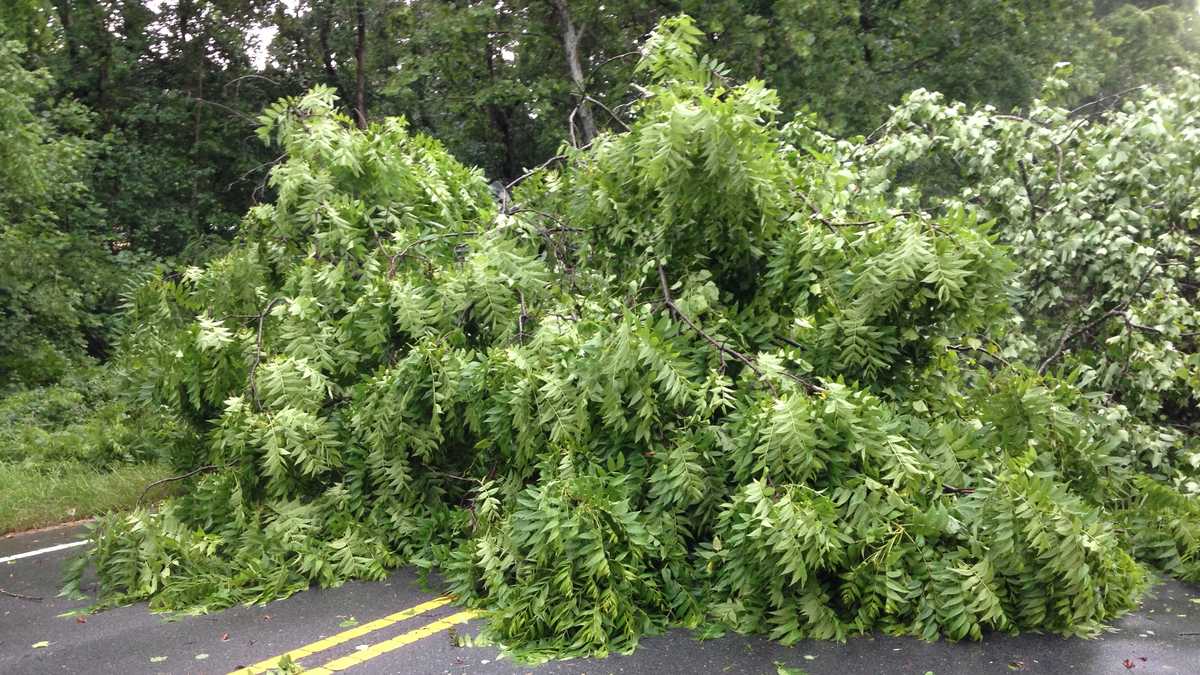 WXII staff weather photos