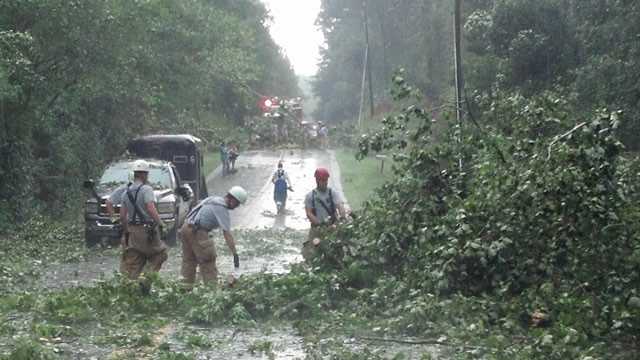 Fallen tree traps people in vehicle