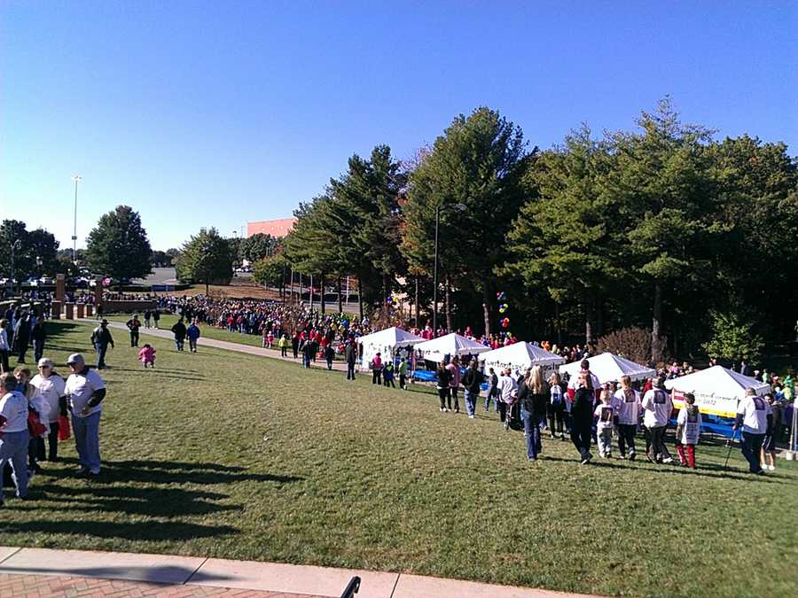 JDRF Walk to Cure Diabetes