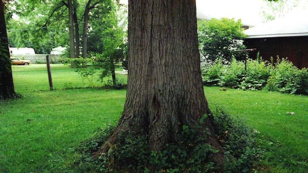 Images: 20 things in your home that can explode