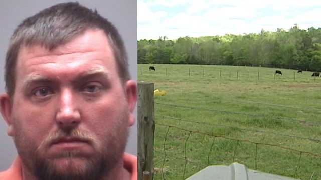 Arrest made in disappearance of 189 cattle from Triad farm