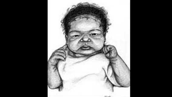 Pictures: Remains of 10 unidentified people found in SC