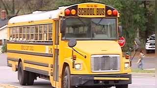 Upstate gets 100+ new school buses