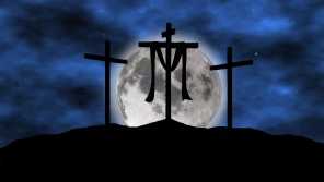 15 things you don't know about Carol Goldsmith