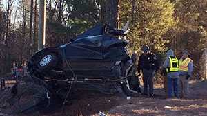 Pictures: Crash ends with car wrapped around tree