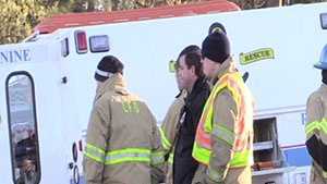 Pictures: Crash ends with car wrapped around tree