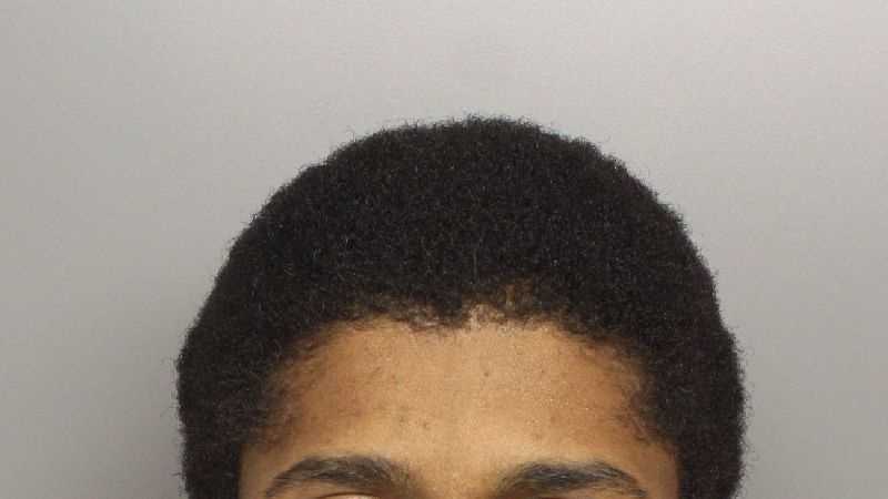 Dozens Of Names Mugshots Released In Greenville Prostitution Bust