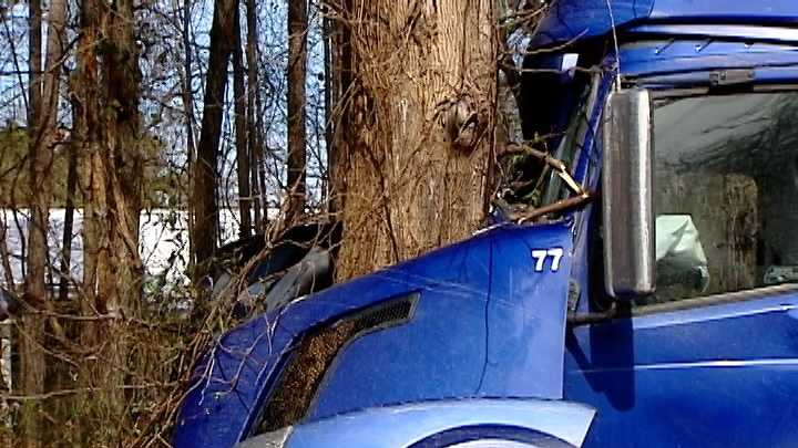 Tractor-trailer truck goes off interstate, hits tree