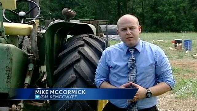 Things you might not know about WYFF News 4's Mandy Gaither