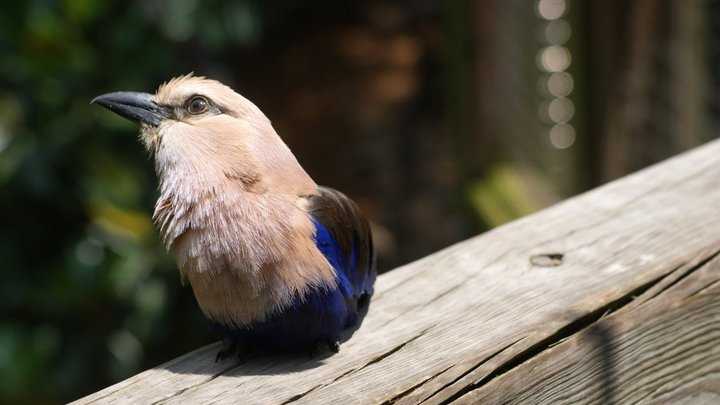 Things you might not know about WYFF News 4's Mandy Gaither