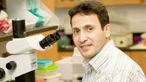 Coroner: USC professor, woman in murder-suicide previously married