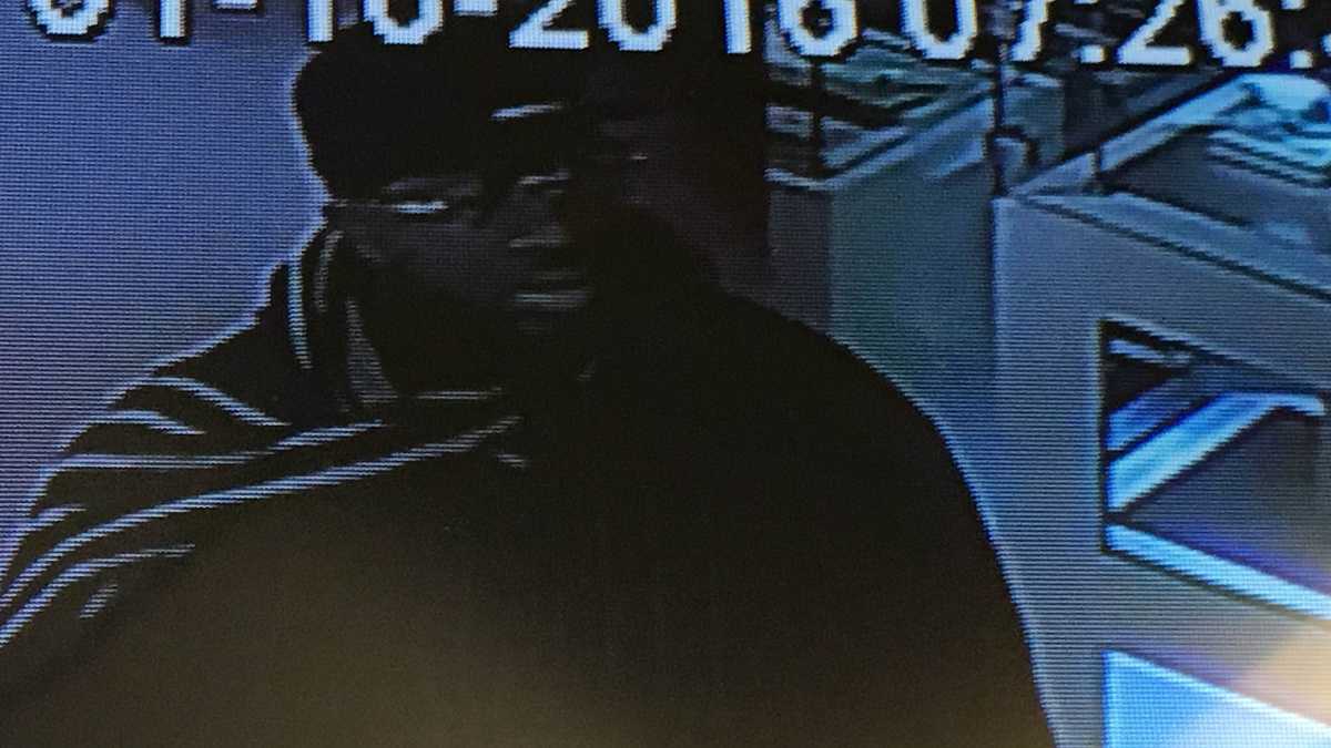 Surveillance pictures released in mall shoplifting investigation