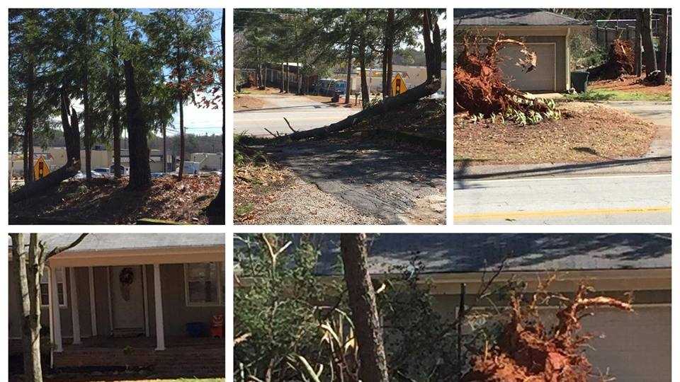Pictures: Wednesday wind effects