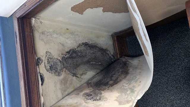 More mold suspected in Upstate courthouse, cleanup underway