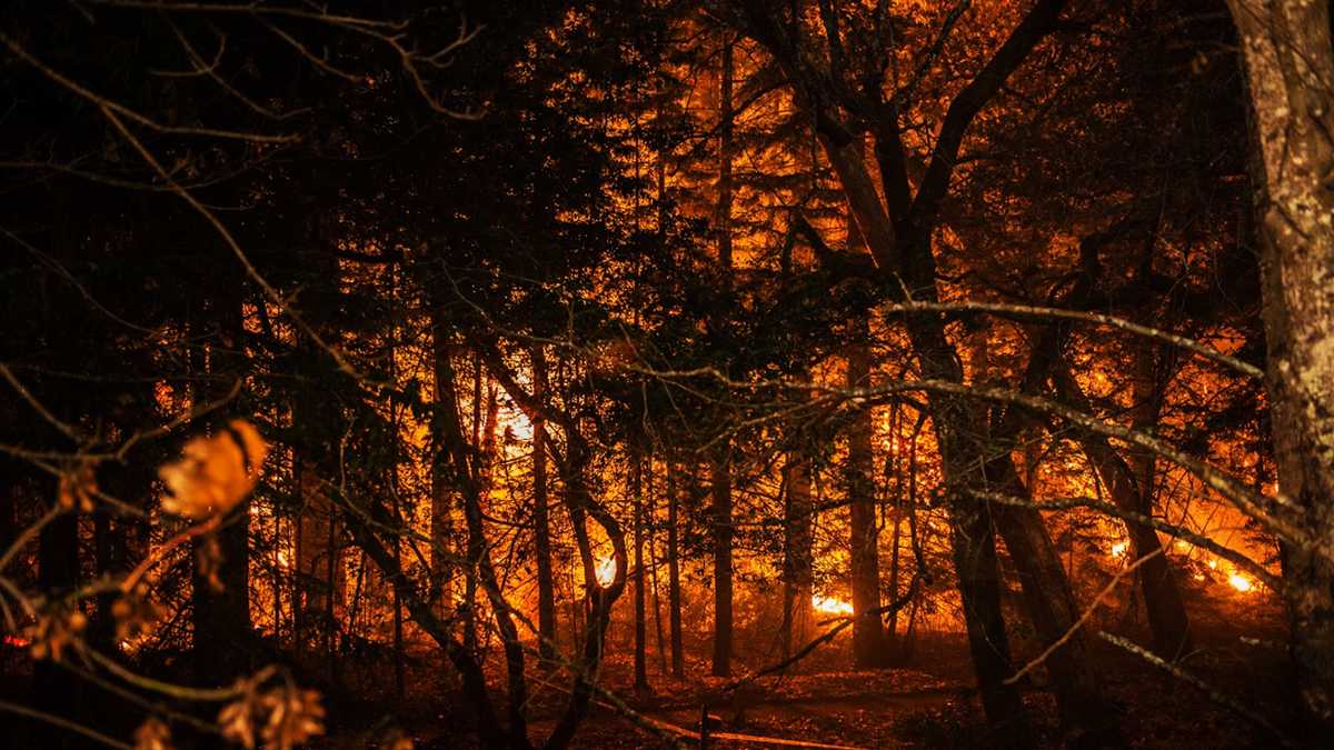 PHOTOS: Big Sur Pfeiffer Fire