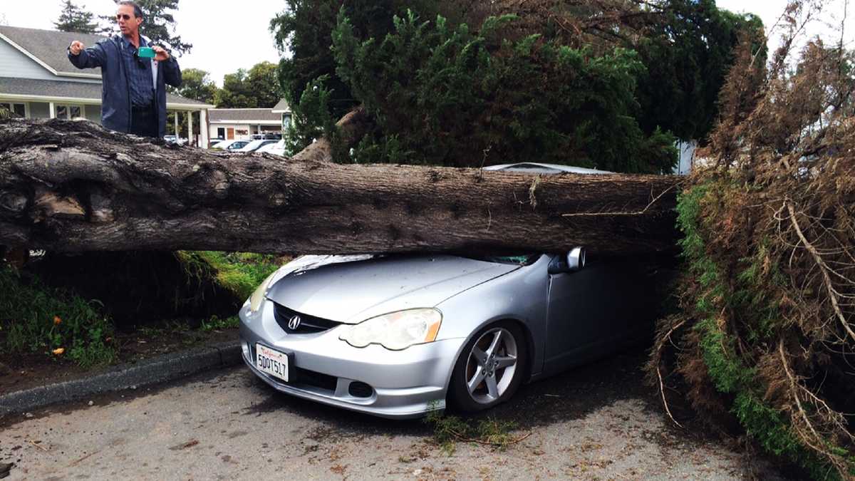 PHOTOS: Tree falls on cars in Aptos during Friday storm