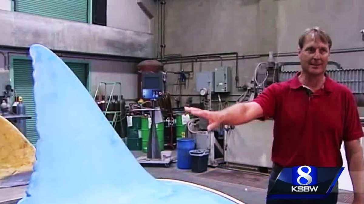 Researchers working on first-of-its kind shark cam