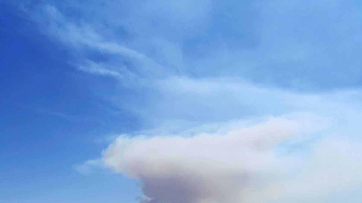 PHOTOS: Coleman Fire