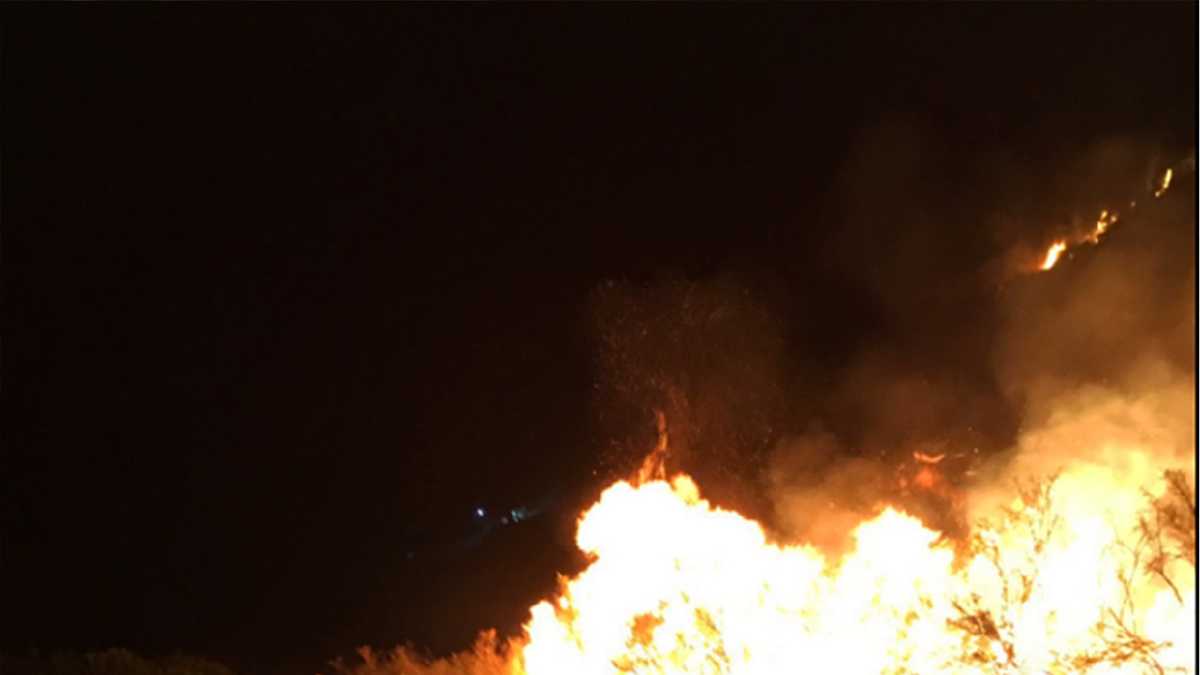 PHOTOS: Coleman Fire