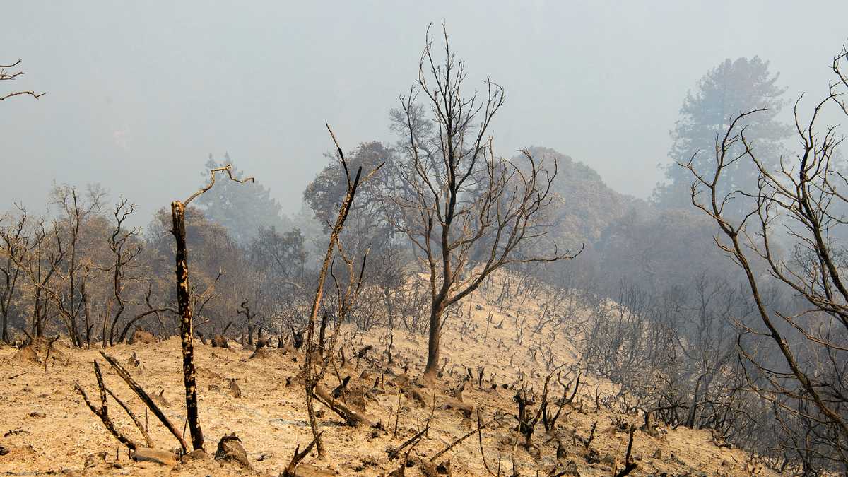 PHOTOS: Most dramatic photos of the Soberanes Fire