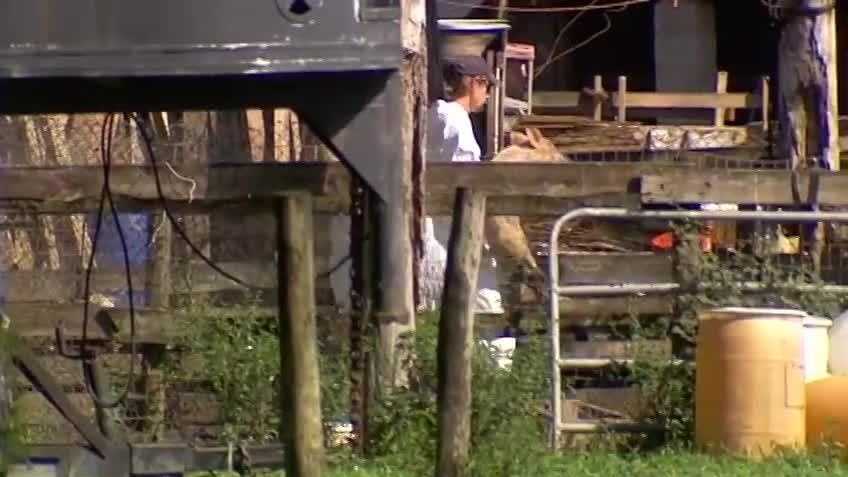 Photos: Alleged slaughter farms raided Tuesday