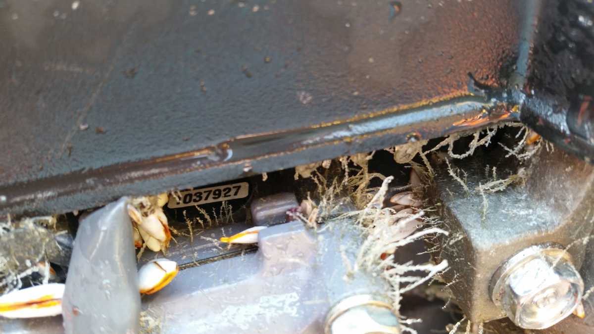 NEW: Photos of Austin Stephanos boat