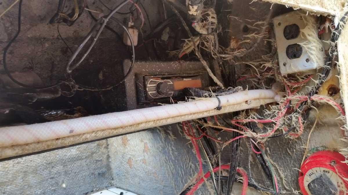 NEW: Photos of Austin Stephanos boat