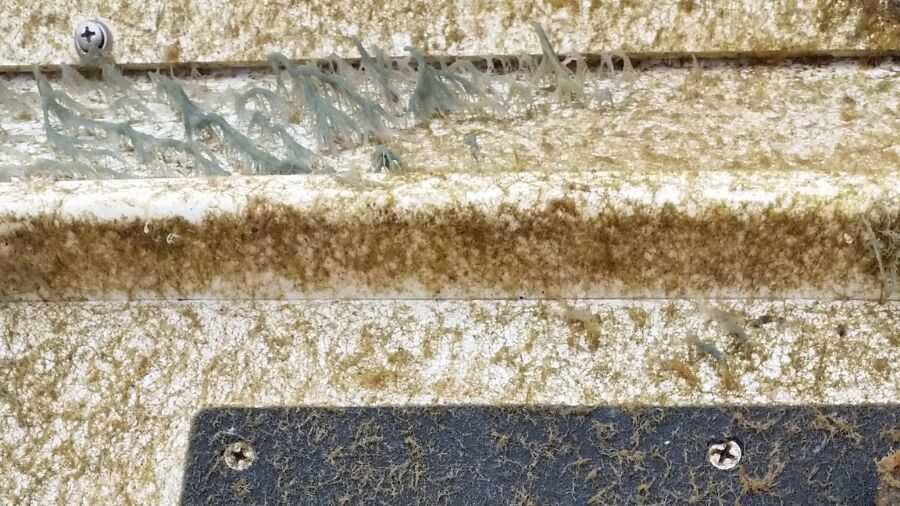 NEW: Photos of Austin Stephanos boat