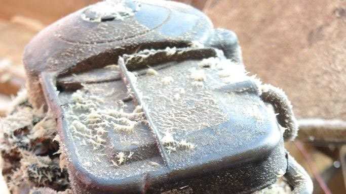 NEW: Photos of Austin Stephanos boat