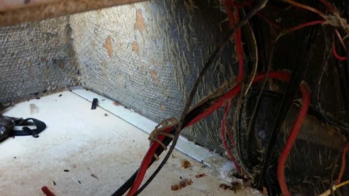 NEW: Photos of Austin Stephanos boat