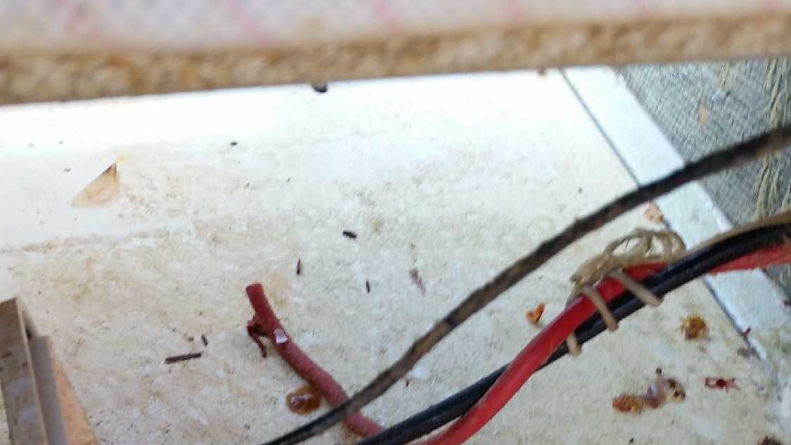 NEW: Photos of Austin Stephanos boat