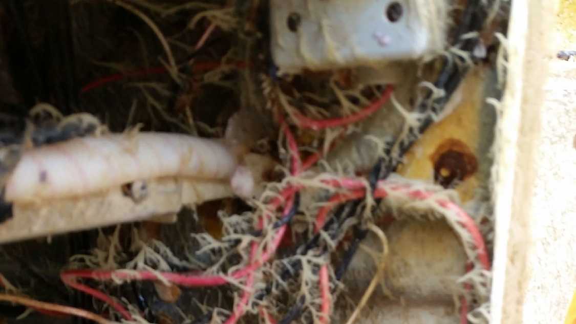 NEW: Photos of Austin Stephanos boat