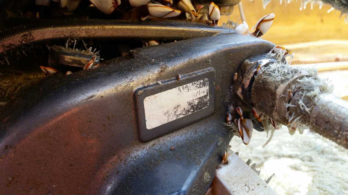 NEW: Photos of Austin Stephanos boat