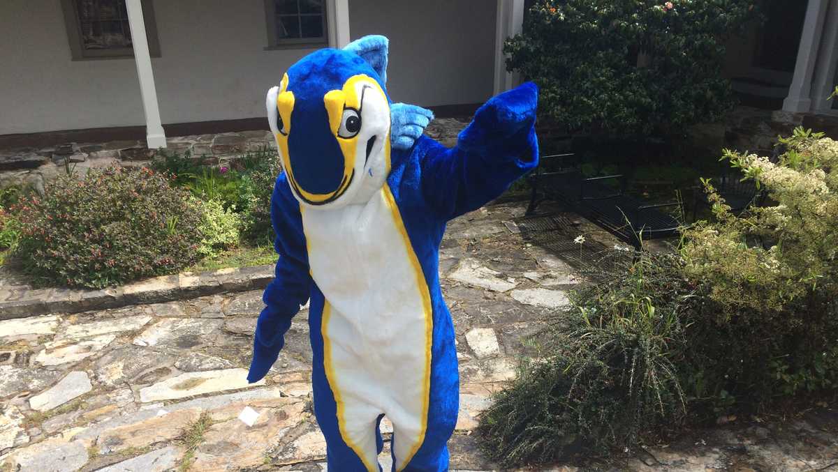 Monterey Amberjacks looking for players and host families