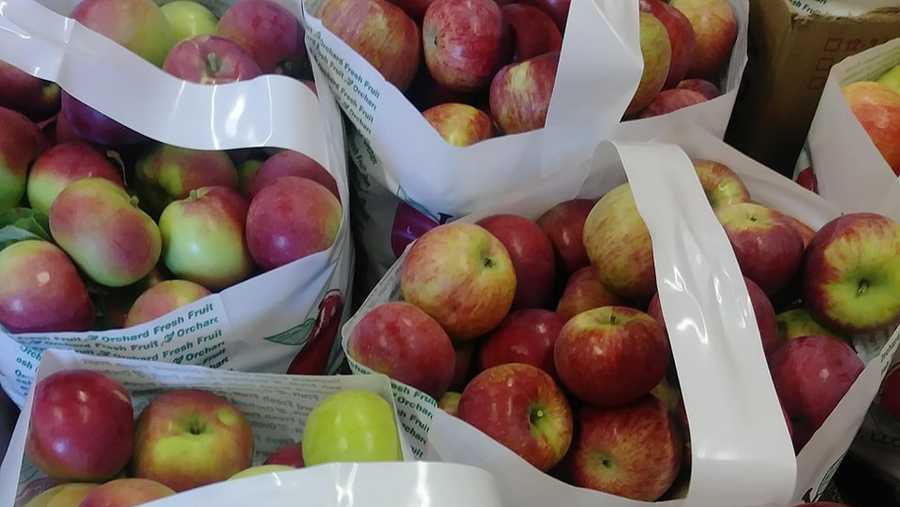 NH best apple orchard of 2022