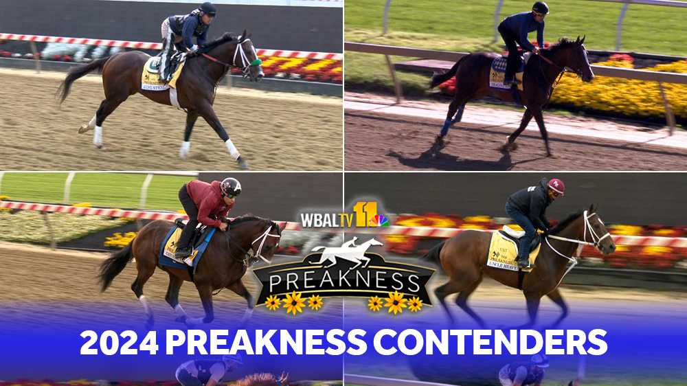 149th Preakness Stakes in photos