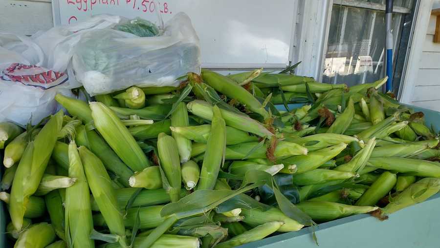 New Hampshire best corn on the cob of 2024
